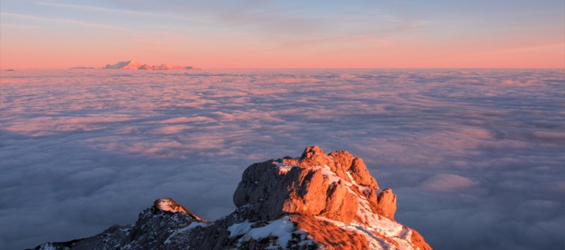 Assurity Accidental Death Insurance Plus Review